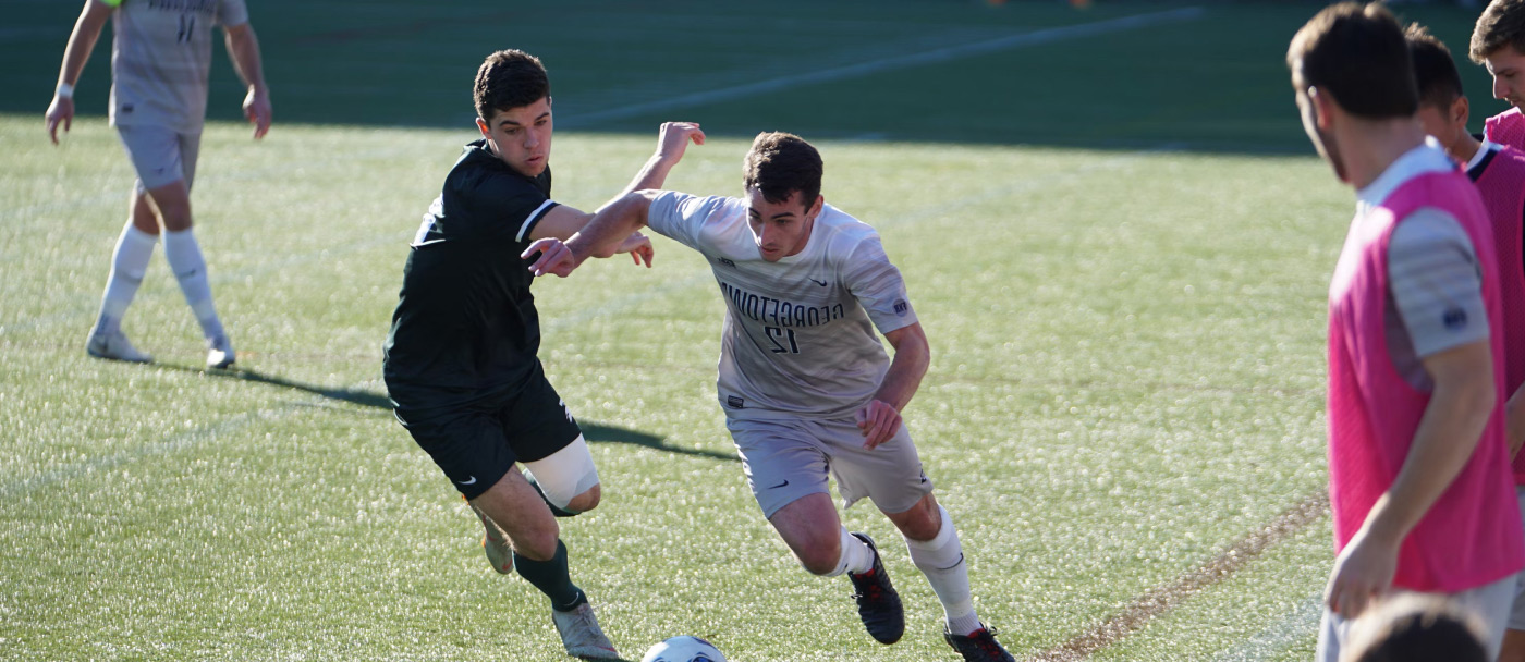 Player Registration – APL